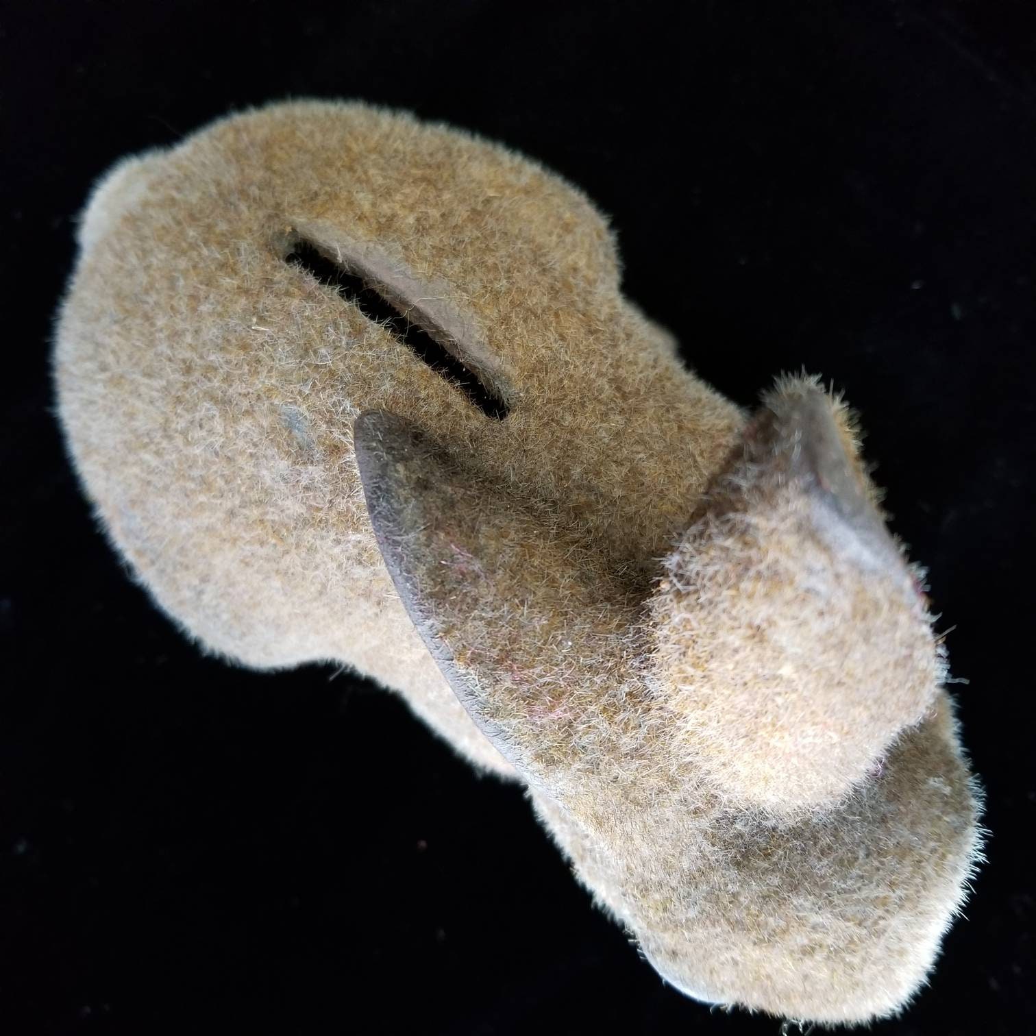 Vintage Brown Flocked Bunny Rabbit Bank - Etsy