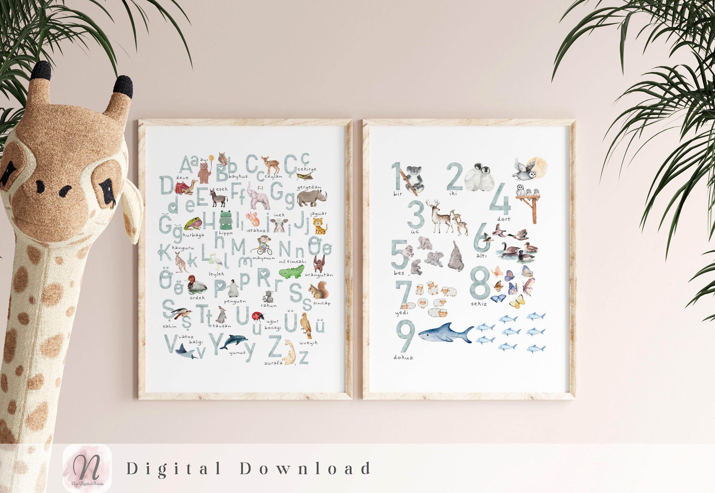 Turkish Alphabet - Educational Poster - Etsy