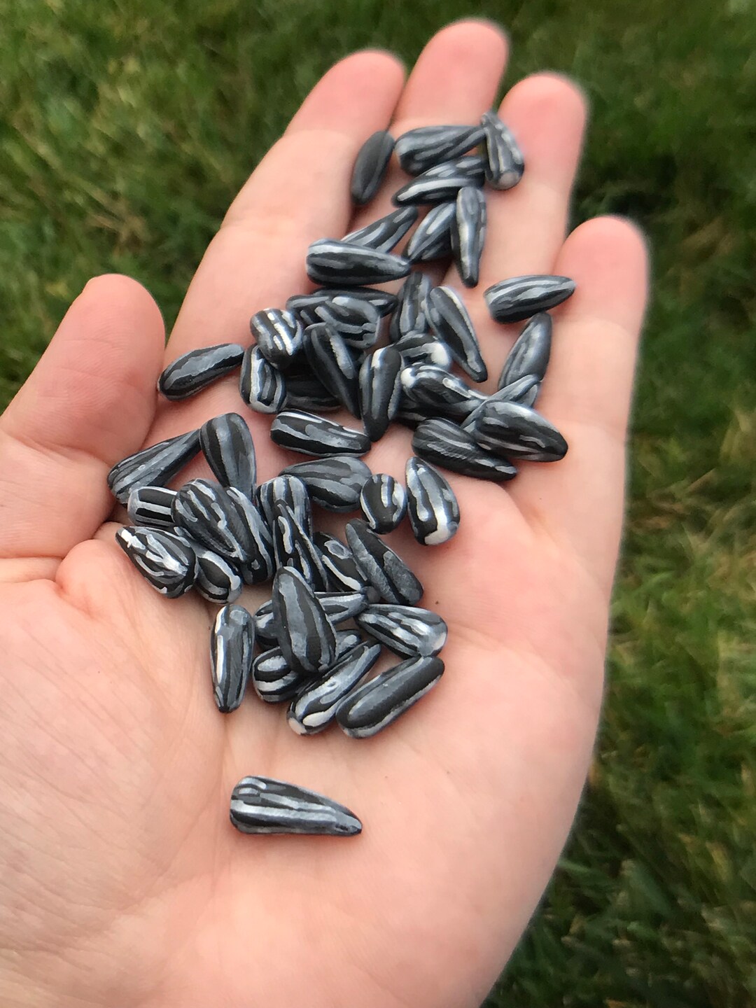 Sunflower Seed Tokens for Wingspan – Realistic Sunflower Seeds in Black ...