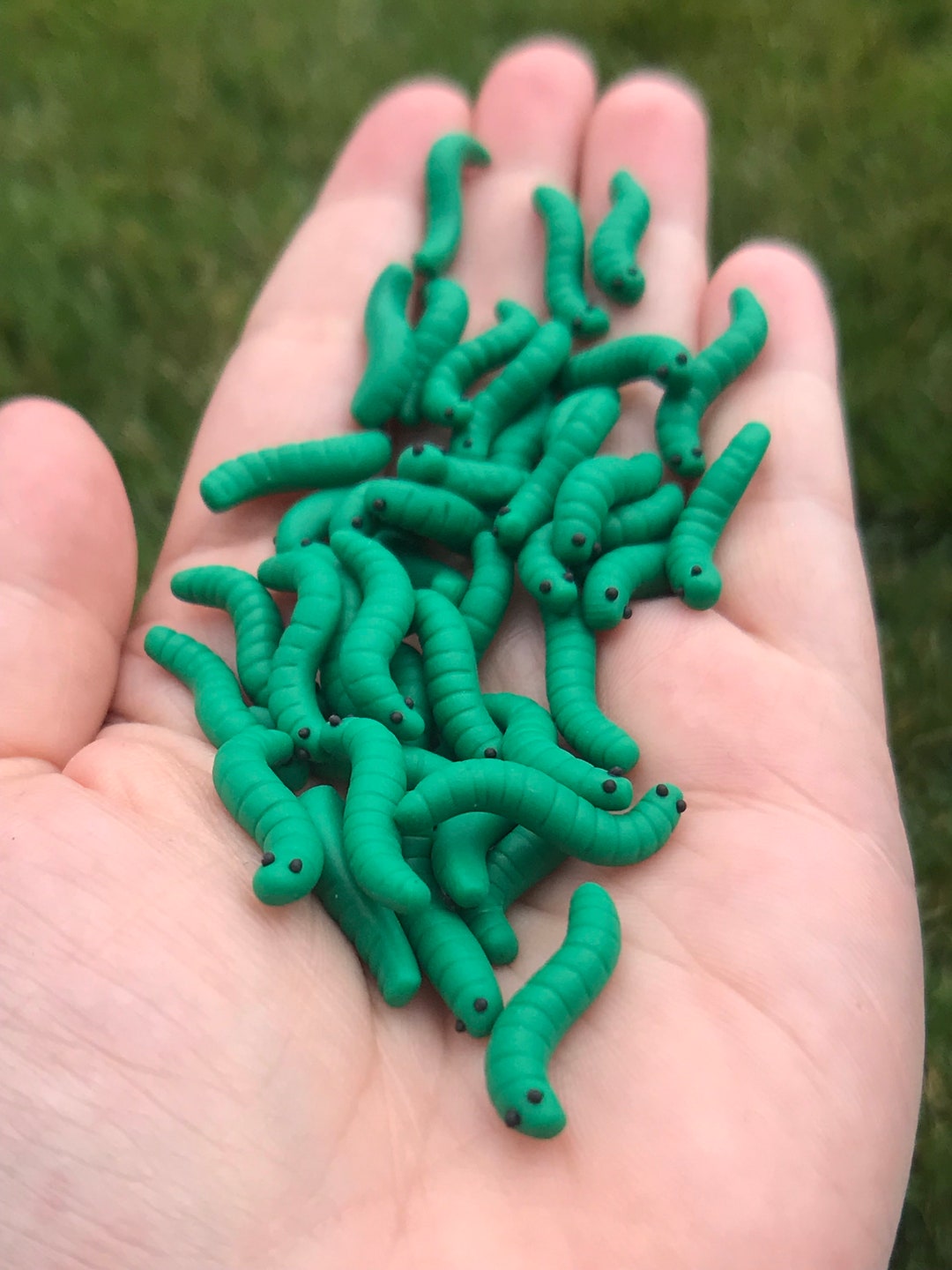 Wingspan Compatible Caterpillar/worm Food Tokens – Durable, No-fade ...