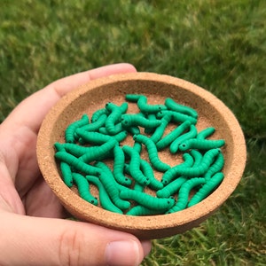 Wingspan Compatible Caterpillar/worm Food Tokens Durable, No-fade ...