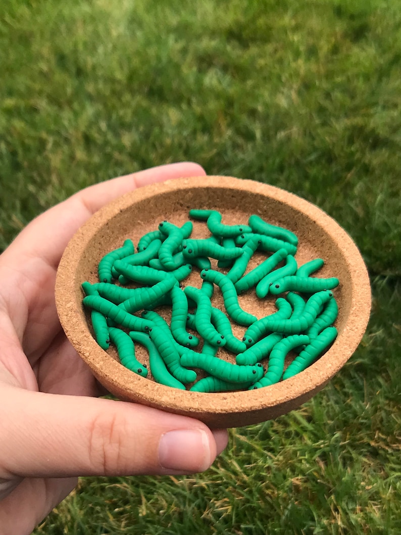 Wingspan Compatible Caterpillar/worm Food Tokens – Durable, No-fade ...