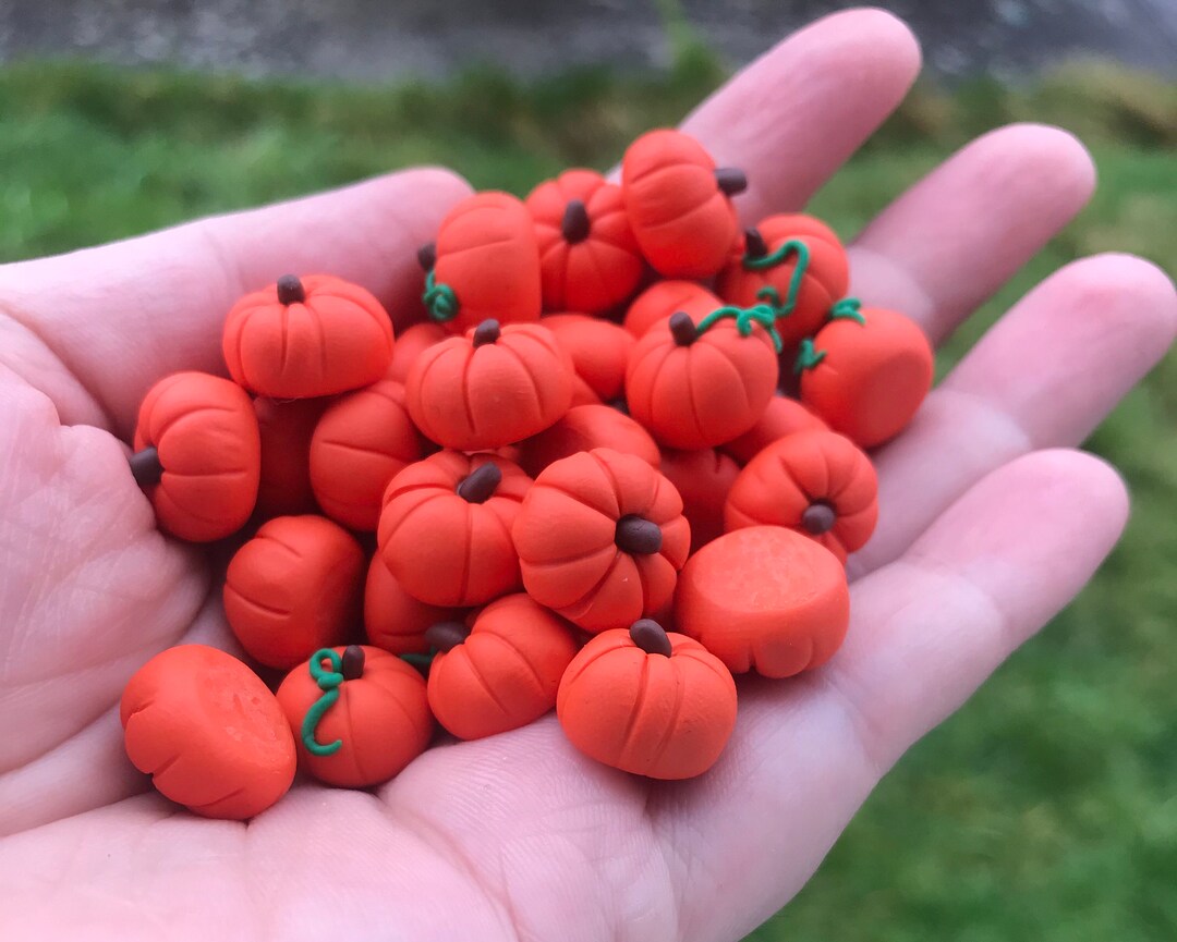 Pumpkin Resource Token Set for Agricola, Caverna, Charterstone, and ...