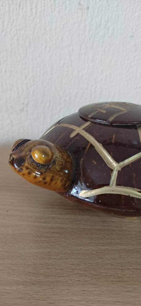 Small box in shape of turtle Coconut box Coin holder | Etsy