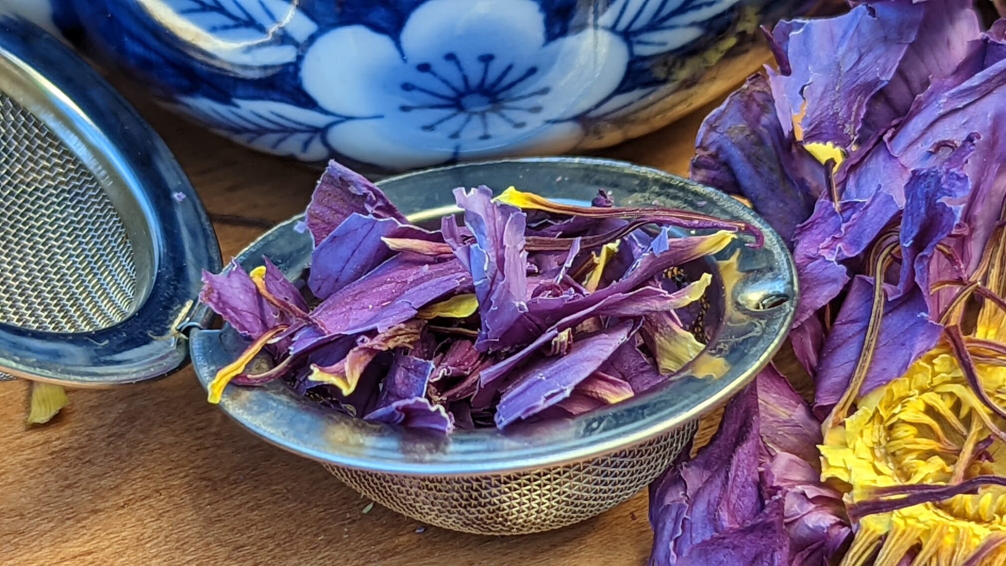 Organic Dried Blue Lotus Flower Enhanced With Blue Lotus Extract 200X ...