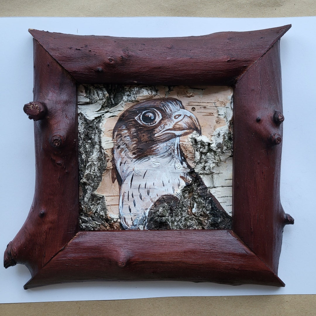 Birds of Prey Painting, Portrait of Falcon. Small Framed Artwork. - Etsy
