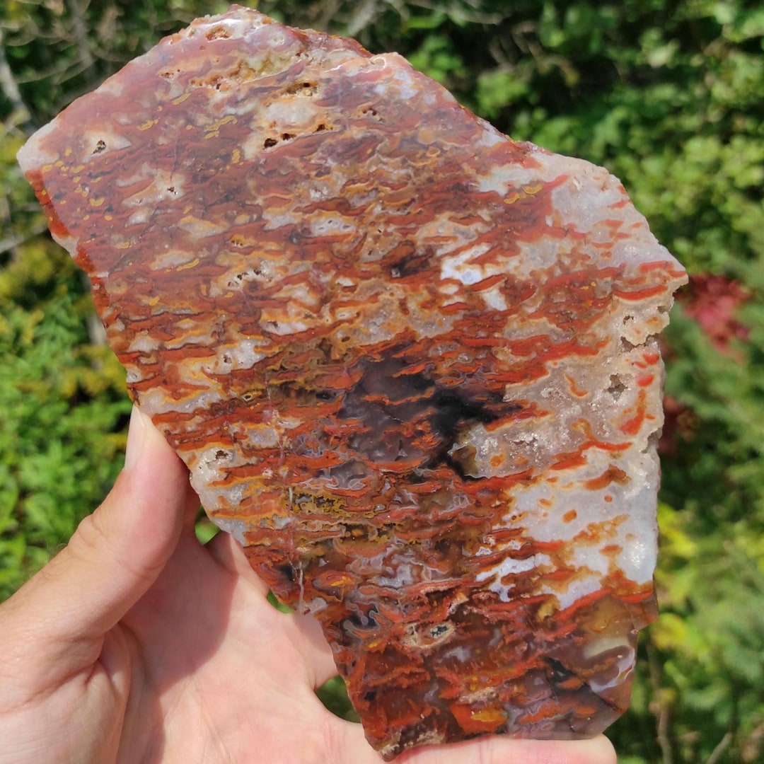 354g Bay of Fundy Agate - Polished Agate Piece From Parrsboro, Minas ...