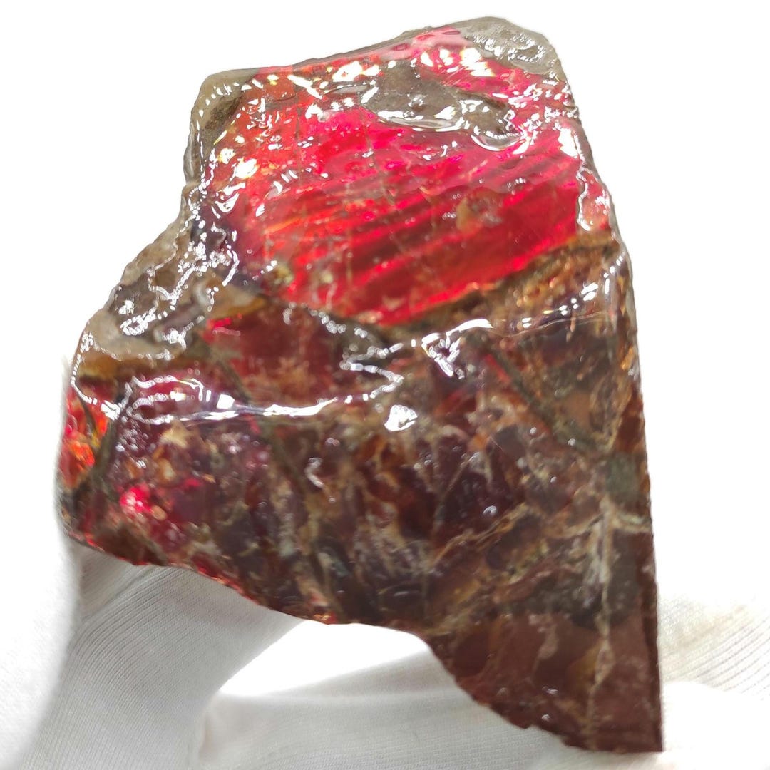 107g Red Ammolite Specimen - Bearpaw Formation, Alberta, Canada - High ...