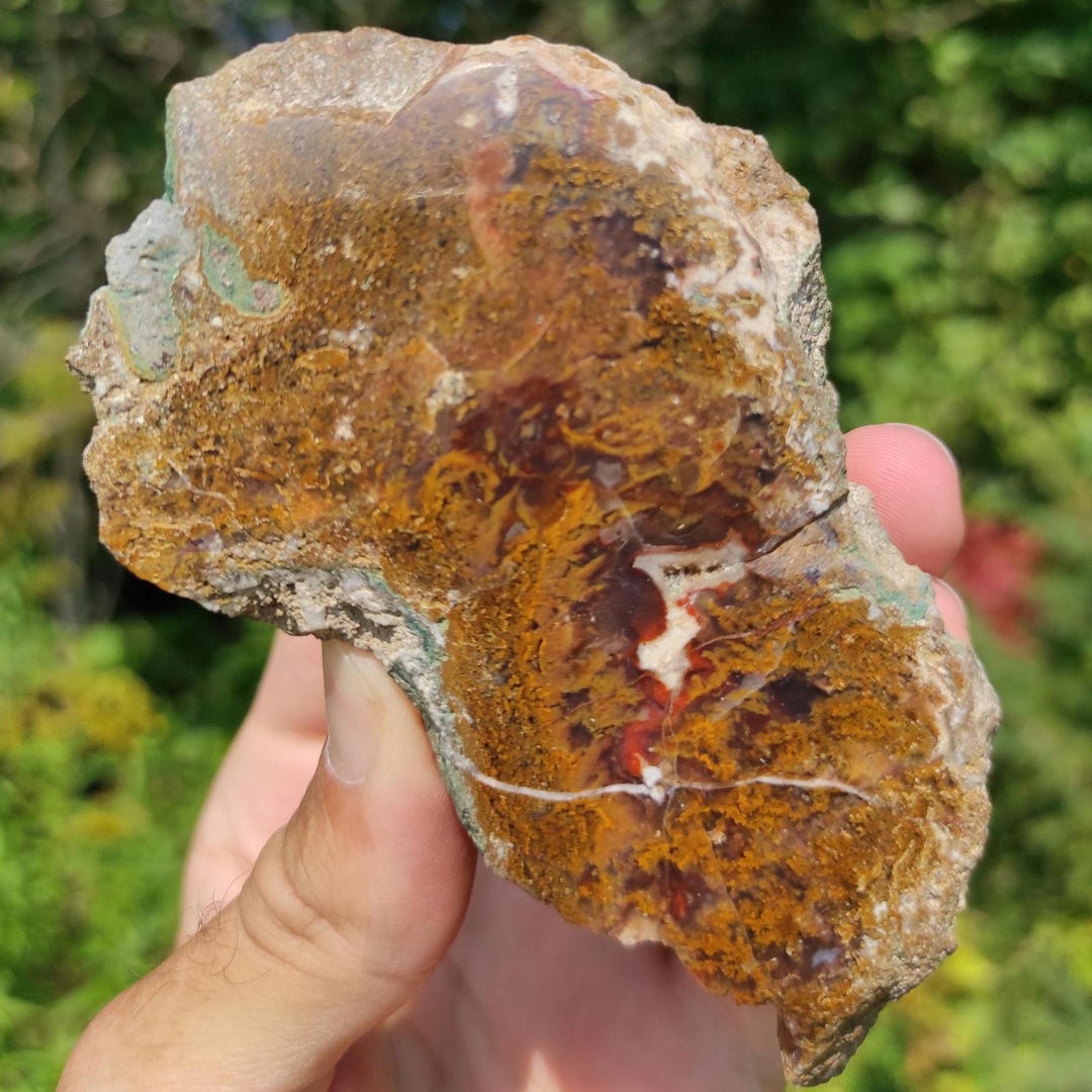222g Bay of Fundy Agate - Polished Agate Piece From Parrsboro, Minas ...