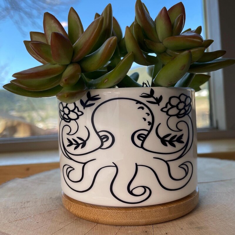 Octopus Planter - Etsy
