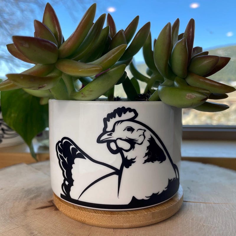 Chicken Planter Pot - Etsy