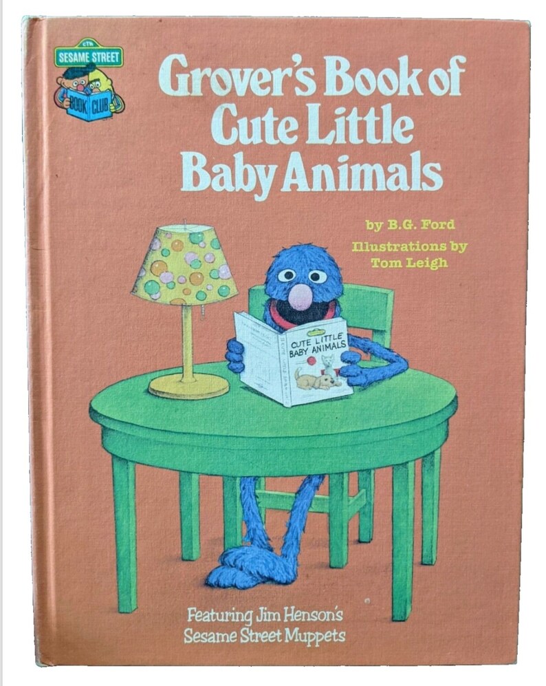 Vintage 1980s Sesame Street Picture Book Set: ABC Toy Chest & Grover's ...