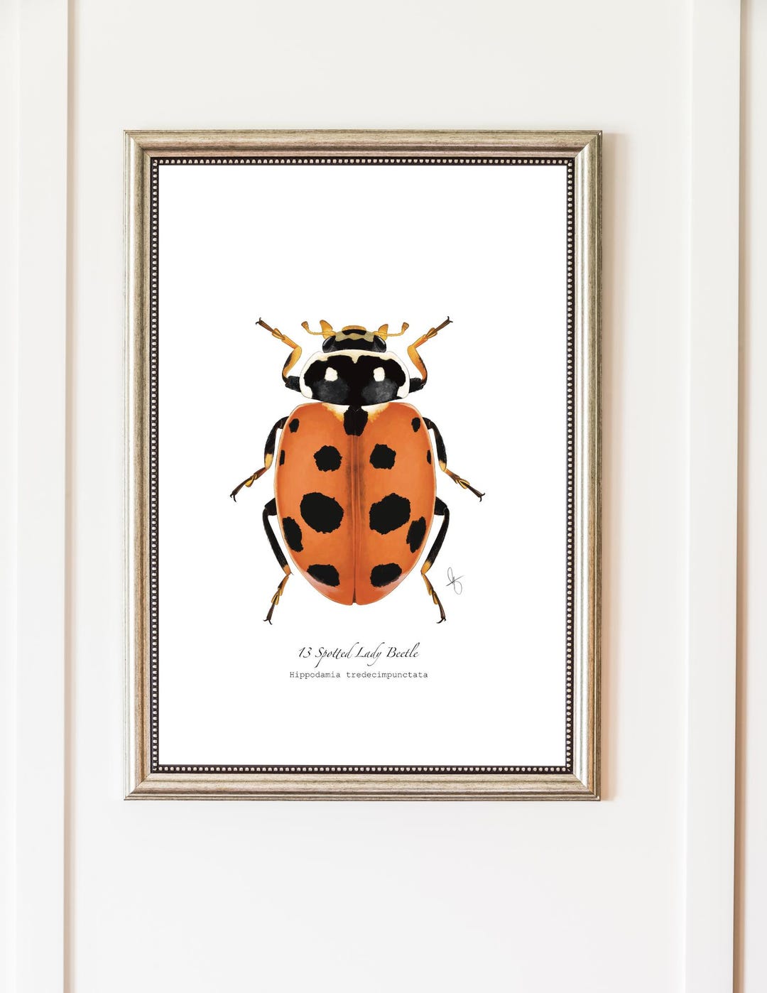 Ladybug Art Print | Hand-drawn Illustration | Nature-inspired Home ...