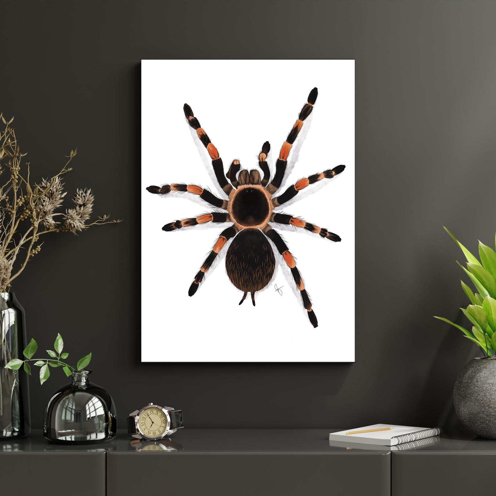 Redknee Tarantula Illustrated Matte Print - Etsy