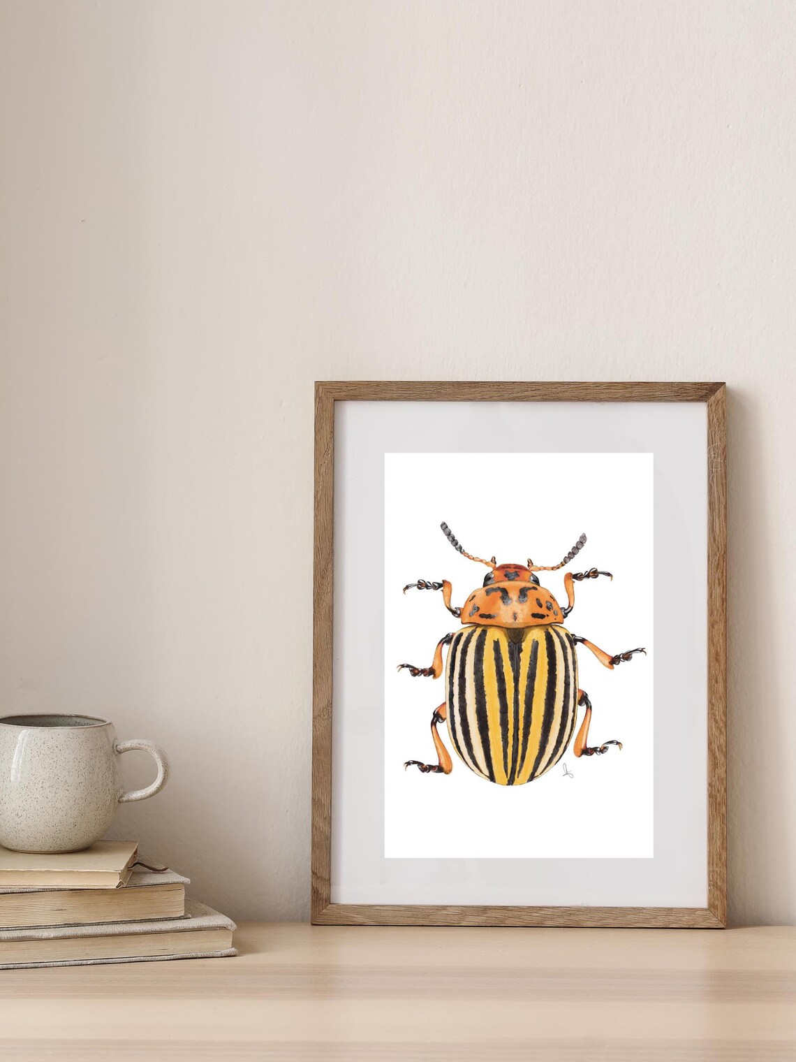 Colorado Potato Beetle Illustration - Entomology Art Print - Etsy