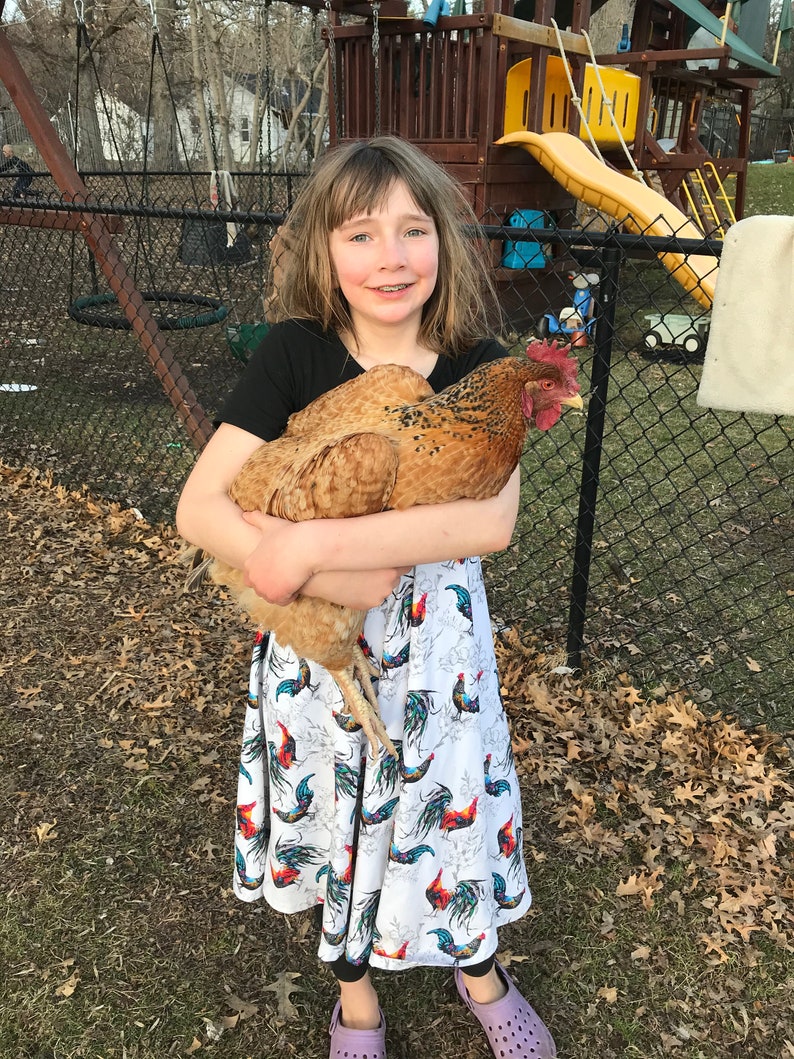 Rooster/chicken Dress Twirly Dress Color Block Dress Animal | Etsy