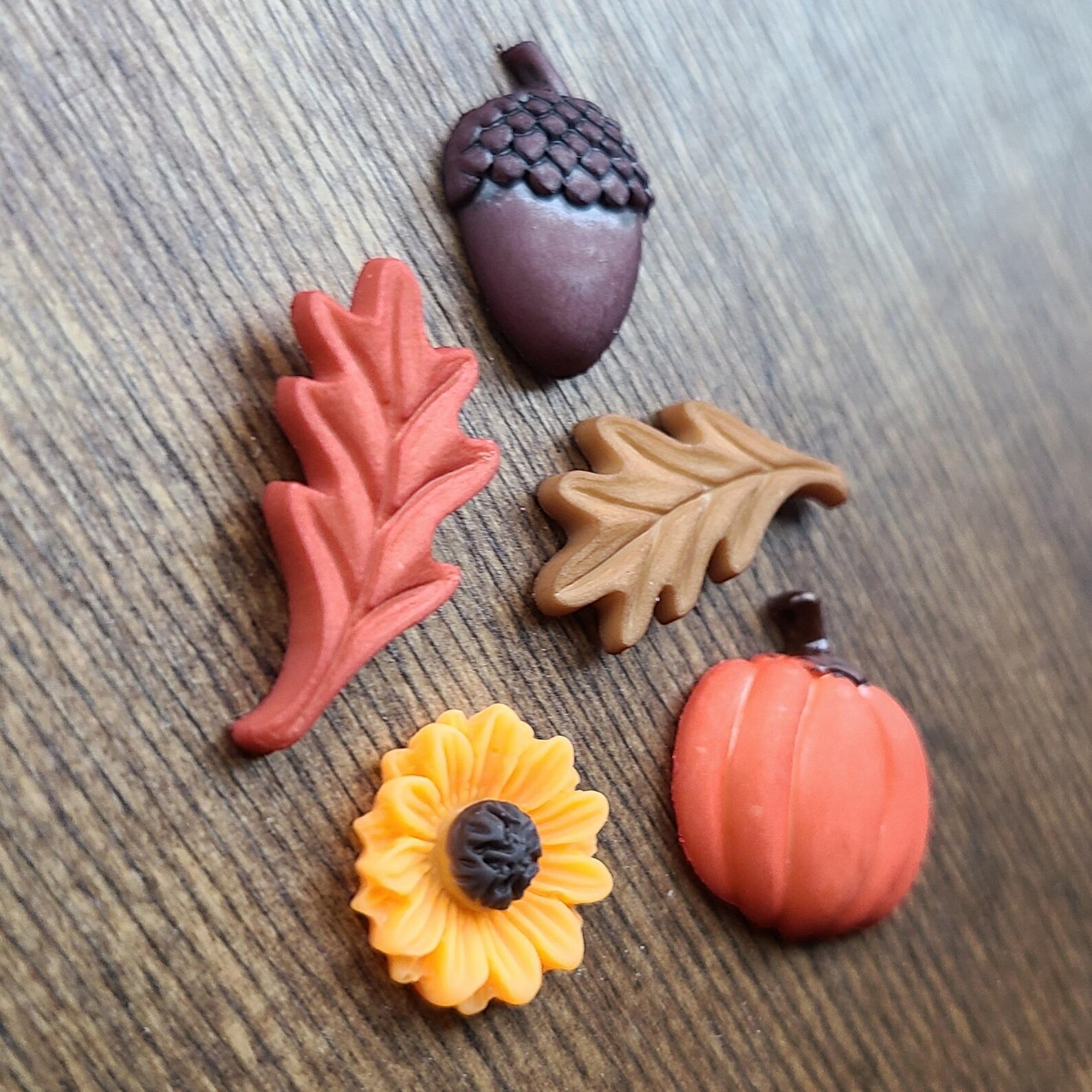 Set of Mini Fall Magnets: Leaves, Acorn, Pumpkin, and Sunflower. Autumn ...