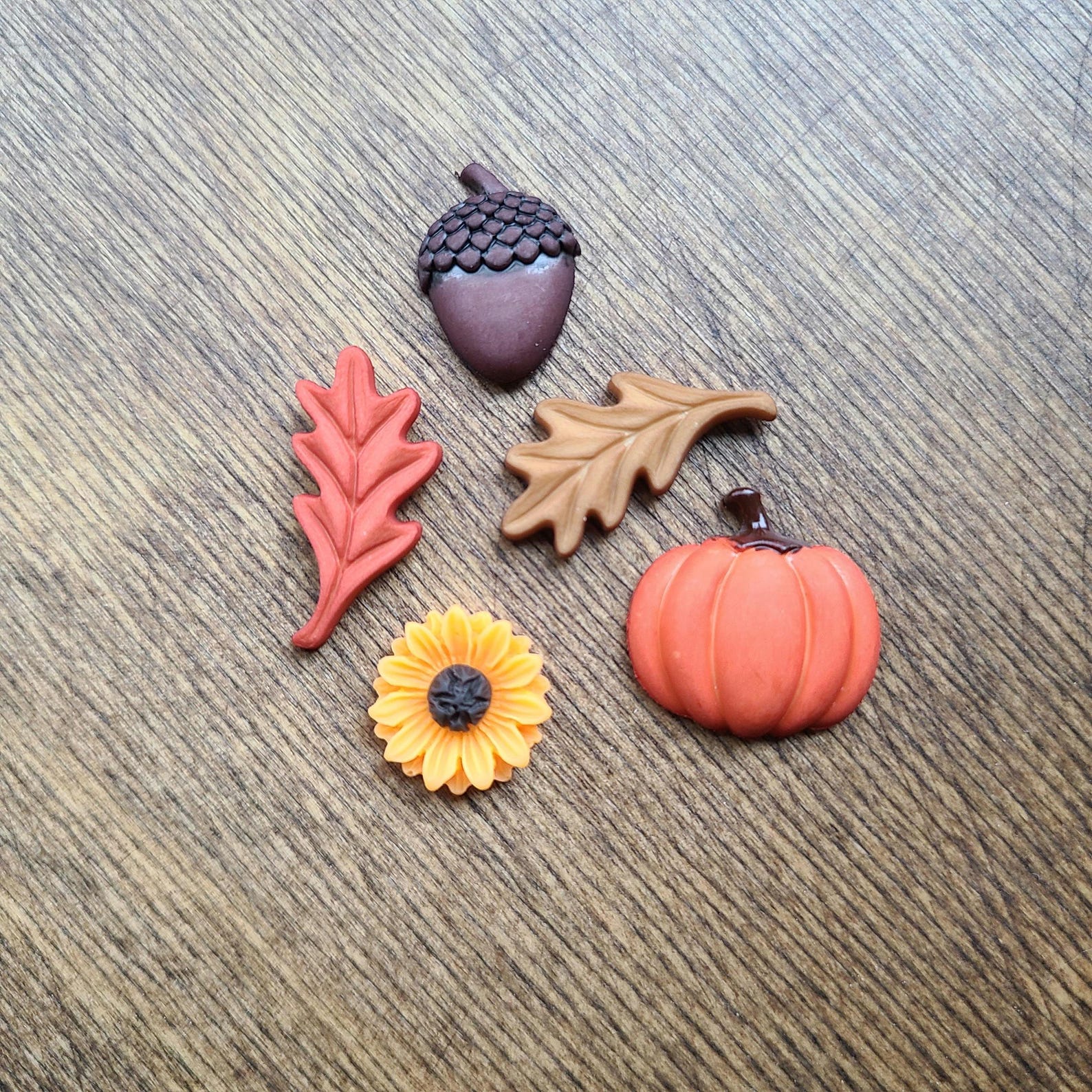 Set of Mini Fall Magnets: Leaves, Acorn, Pumpkin, and Sunflower. Autumn ...