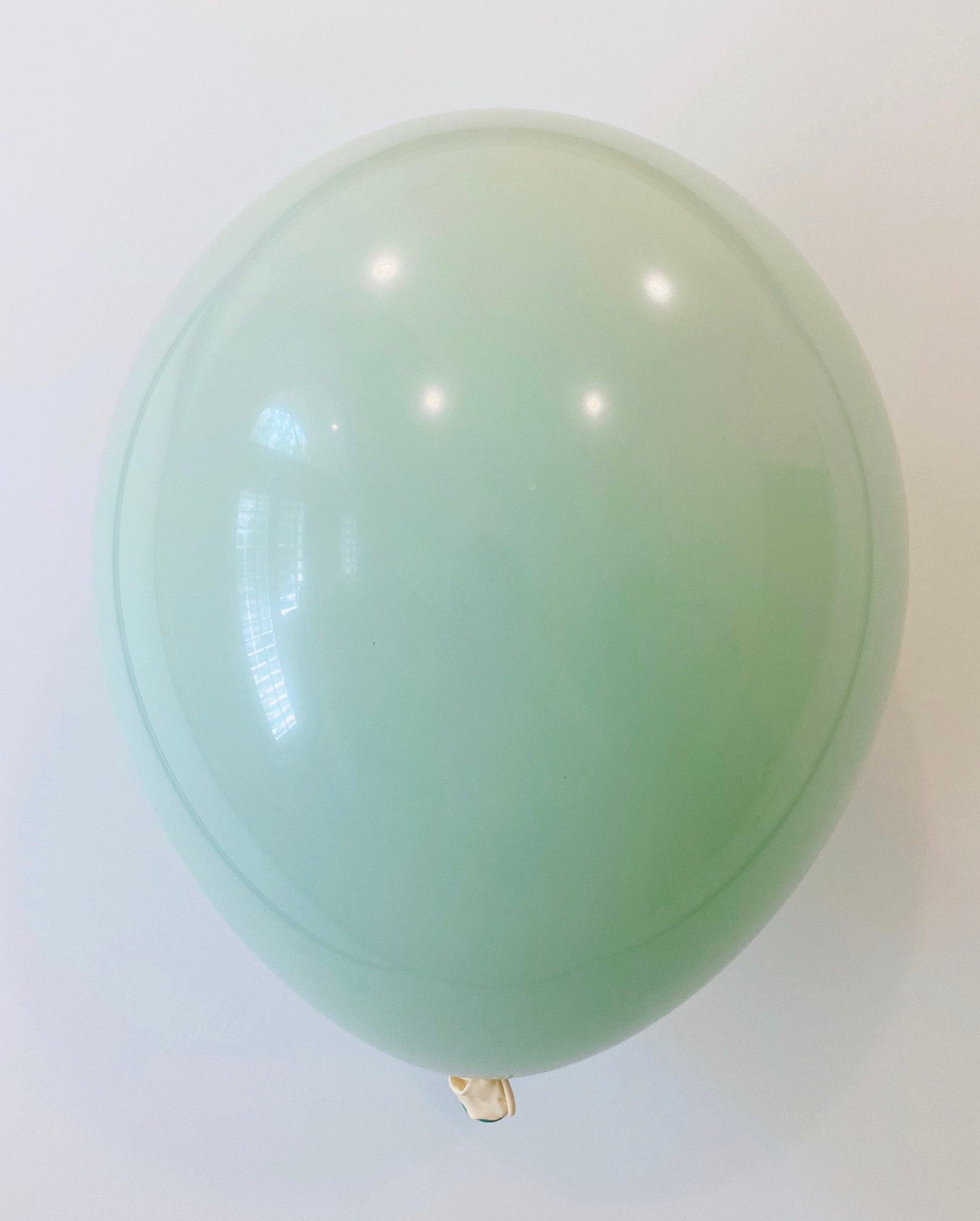 Balloon Arch Double Stuffed Balloons Pastel Balloon | Etsy