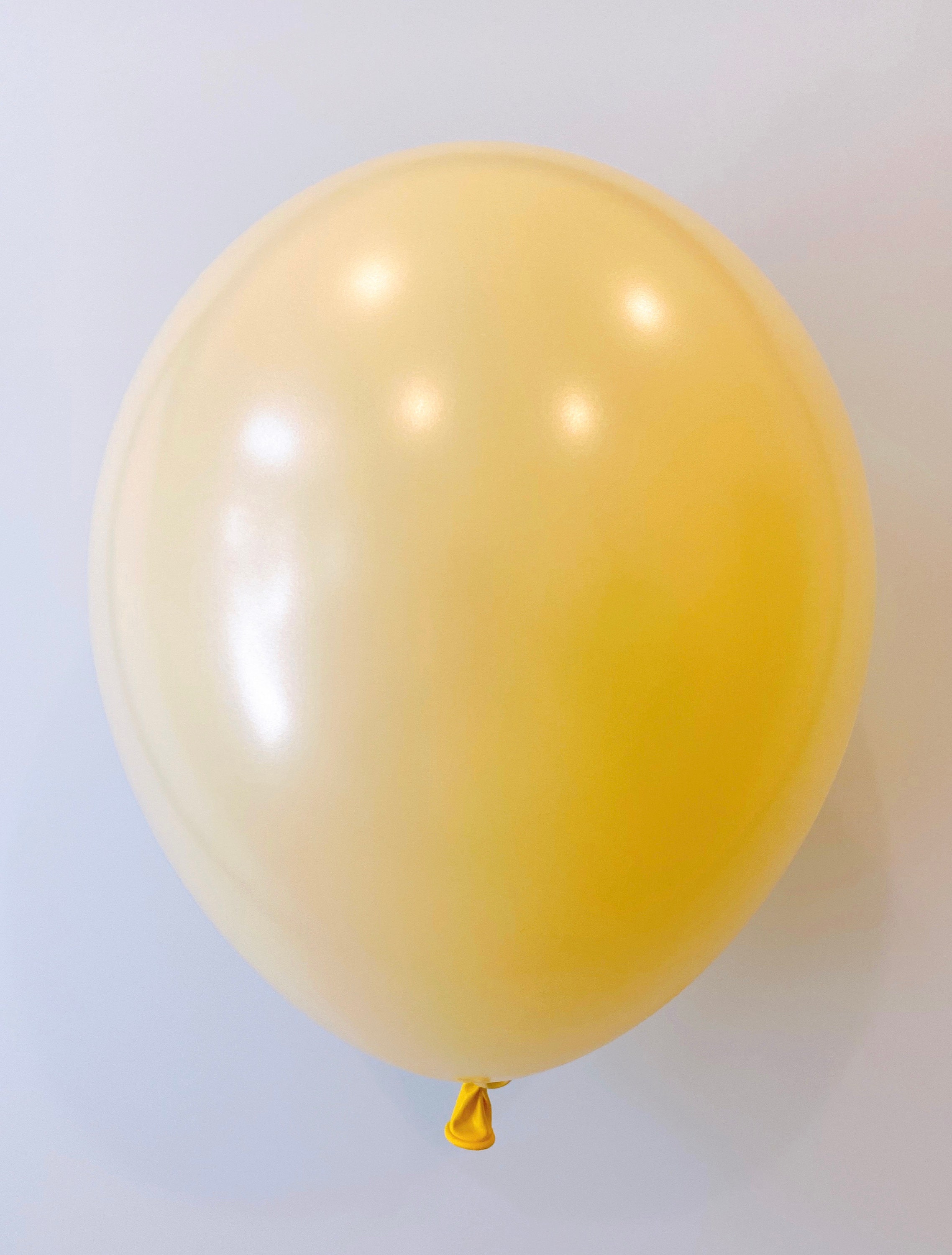 Balloon Arch Double Stuffed Balloons Pastel Balloon | Etsy