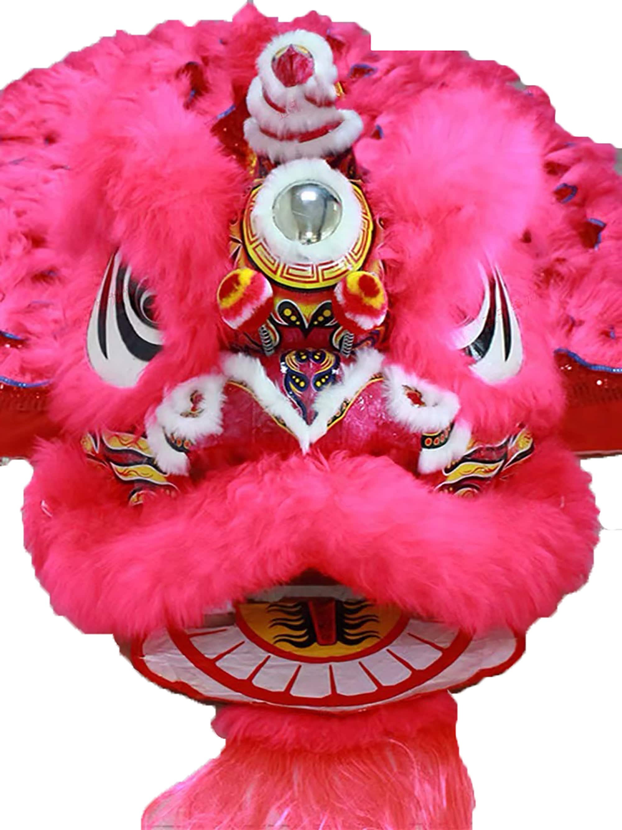 Adult Lion Dance Costume, Handmade Lion Dance Costume, Performance ...