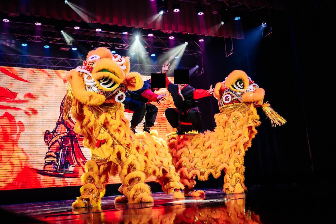 Adult Lion Dance Costume, Handmade Lion Dance Costume, Performance ...