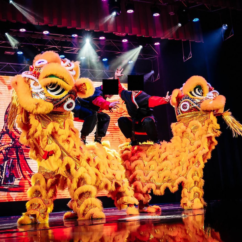 Pure Traditional Costume - Etsy