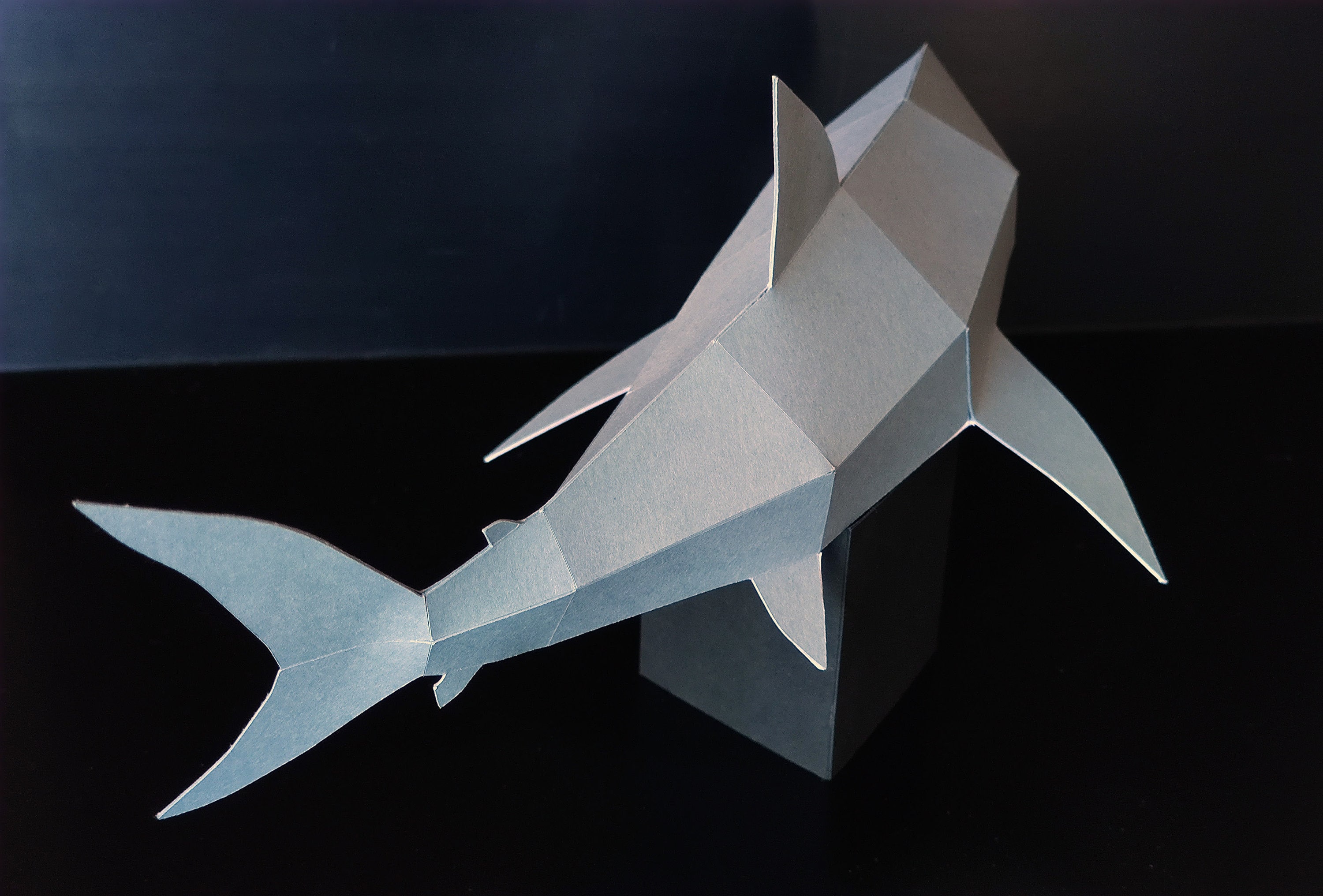 Prehistoric Shark Megalodon - Papercraft to Download (PDF, DXF, SVG) - Etsy