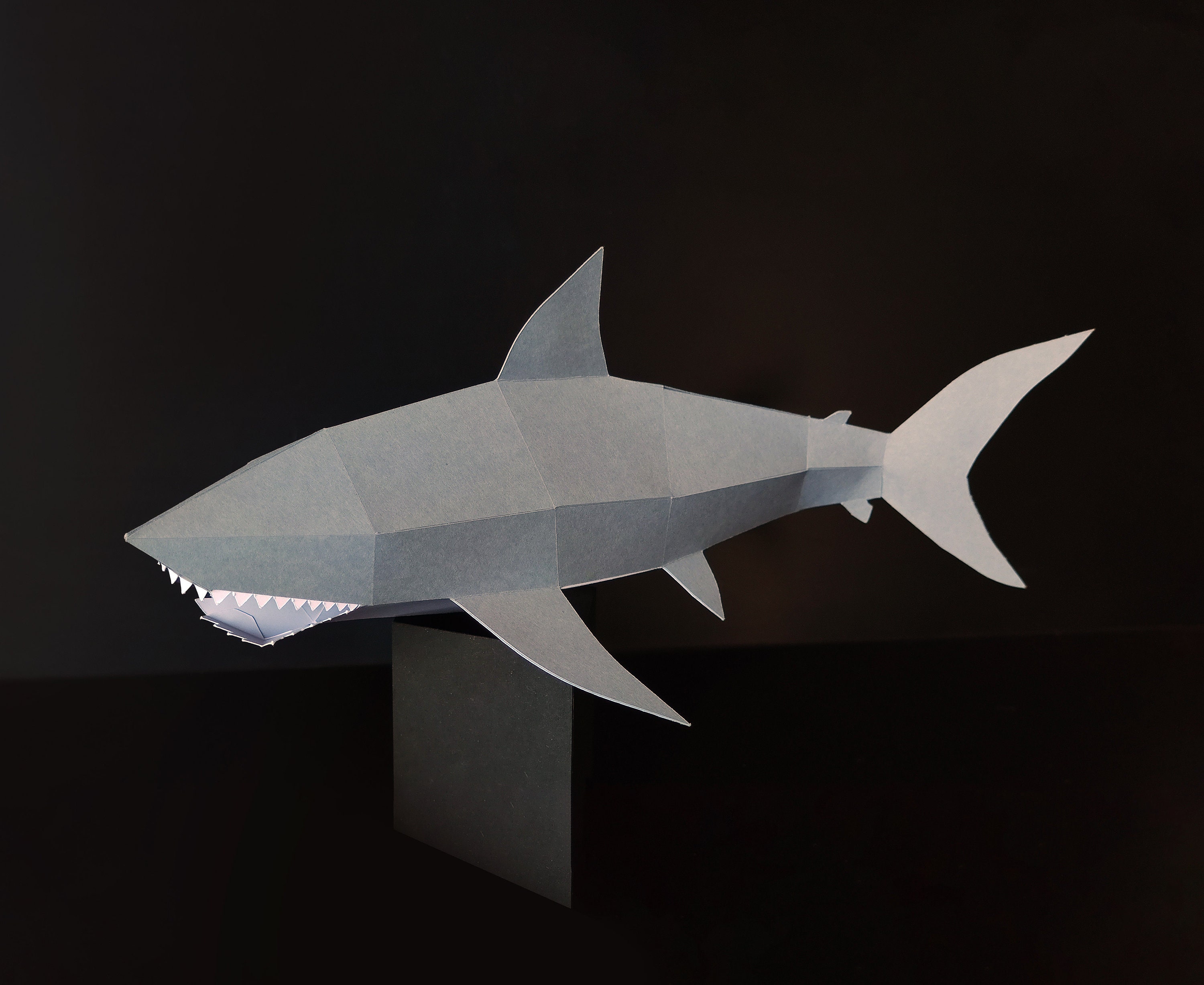Prehistoric Shark Megalodon - Papercraft to Download (PDF, DXF, SVG) - Etsy