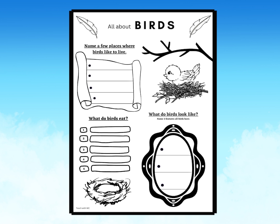 All About Birds Worksheet - Digital Download - Printable - Etsy