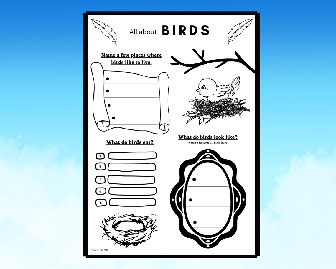 All About Birds Worksheet - Digital Download - Printable - Etsy