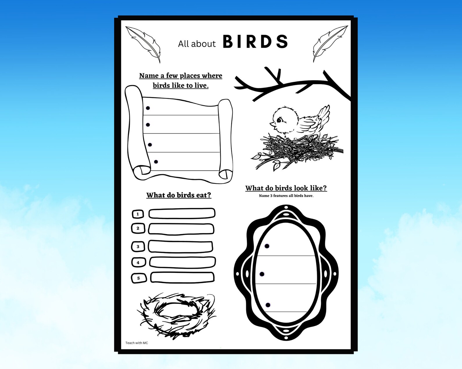 All About Birds Worksheet Digital Download Printable - Etsy
