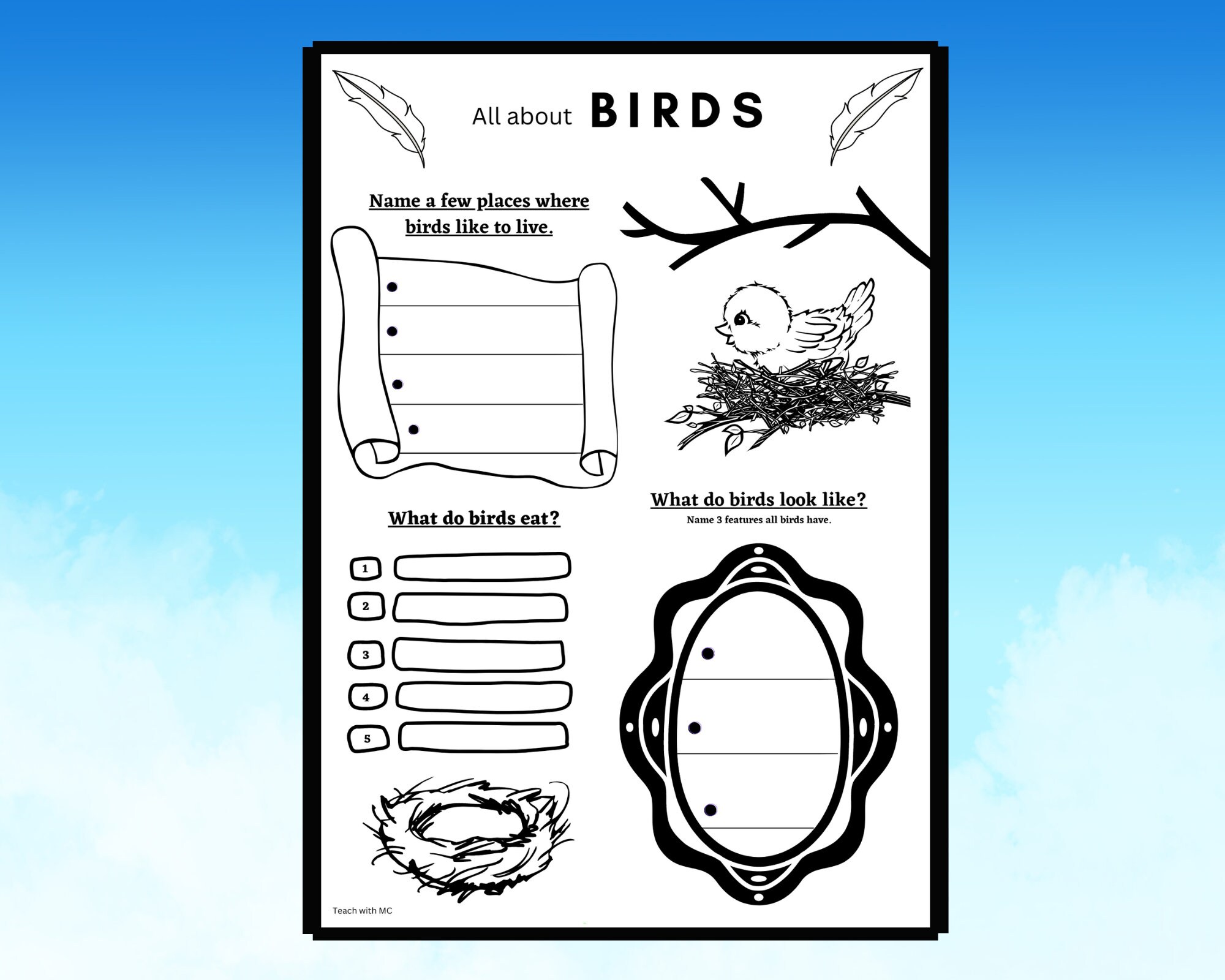 All About Birds Worksheet Digital Download Printable - Etsy
