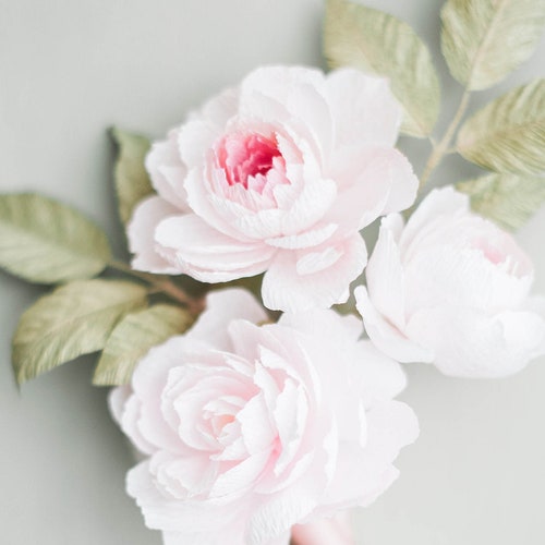 Crepe Paper Rose Template With Instructions - Etsy