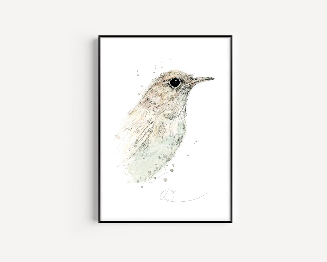 Nightingale Bird Watercolour, Printable Wall Art - Etsy