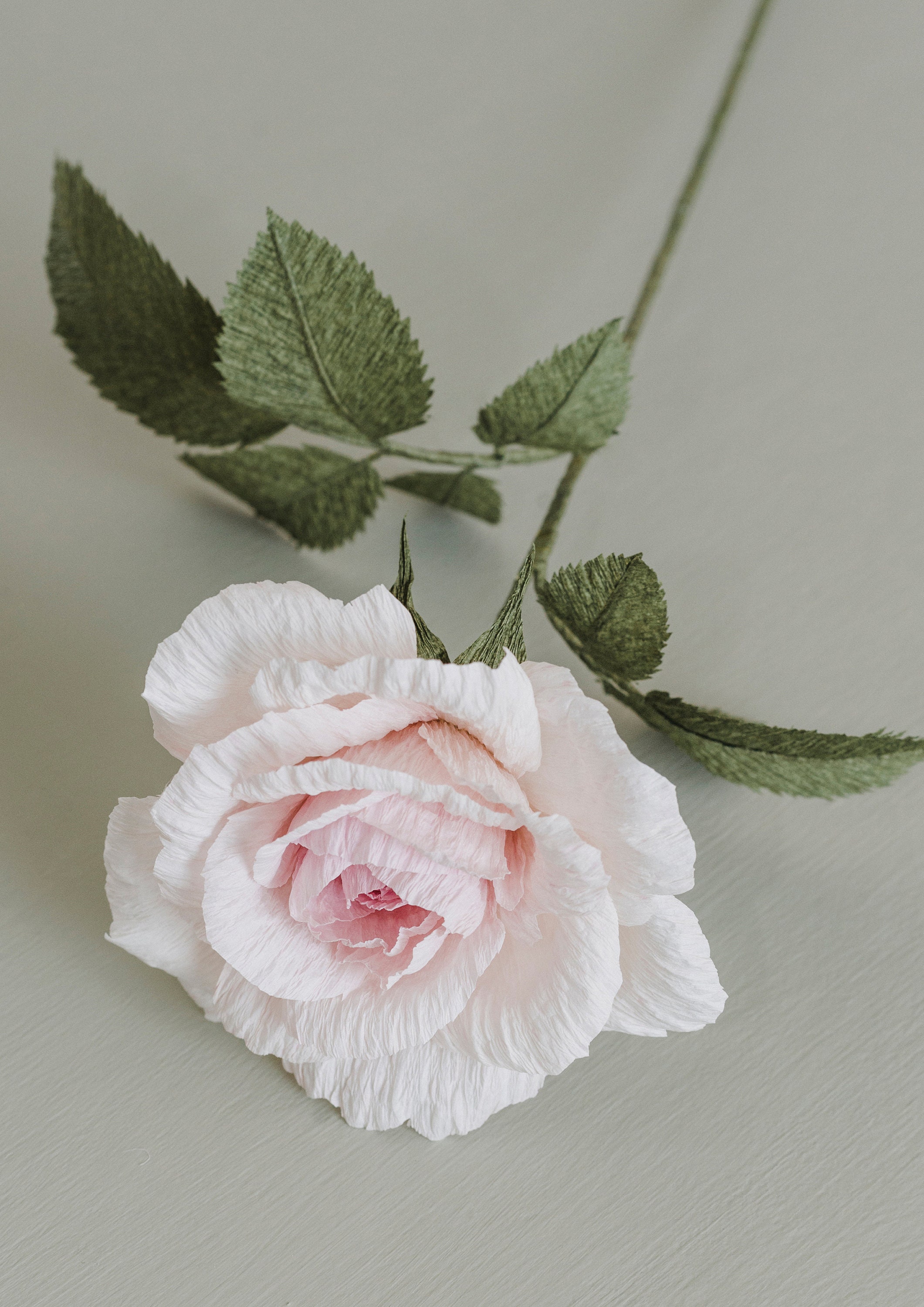 Crepe Paper Roses Template at Dylan Trouton blog