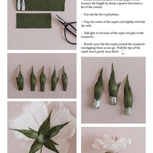 Crepe Paper Rose Template With Instructions - Svg/dxf/pdf/png/jpeg - Etsy