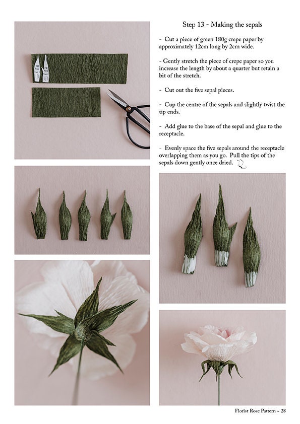 Crepe Paper Rose Template With Instructions - Etsy