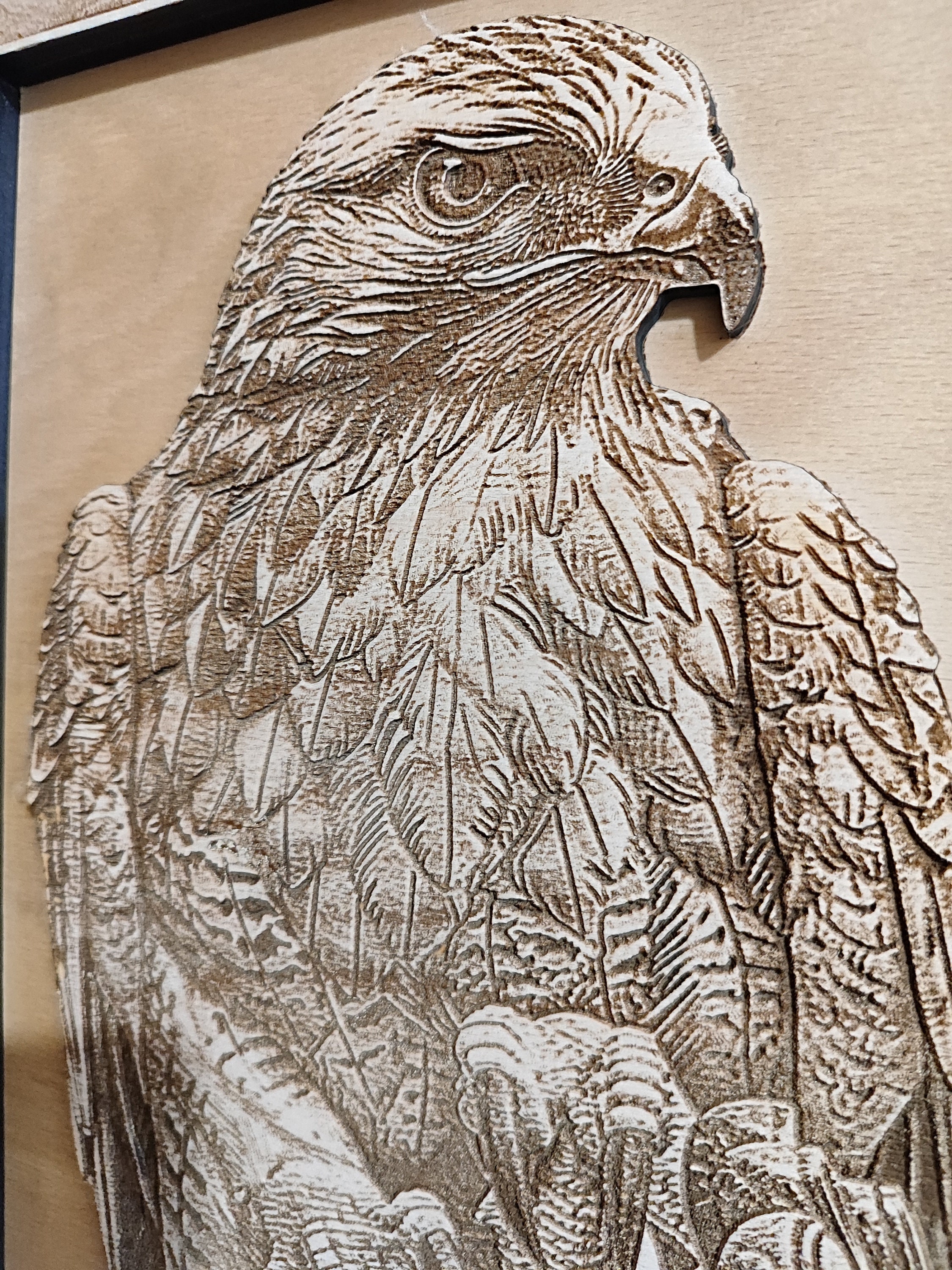 Red-tailed Hawk, Falconry Wall Decor, Multilayer Wood Art. - Etsy