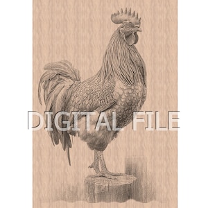 Laser Engraved Files, Rooster Png, 3D Illusion, Wood Engraving ...
