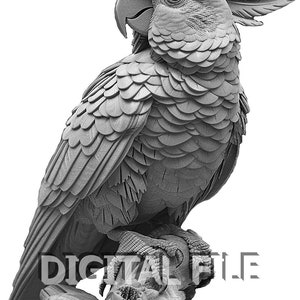 Laser Engraving Files, Parrot PNG, 3D Illusion, Wood Engraving ...