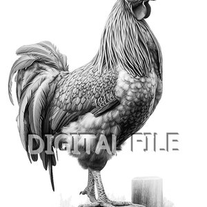 Laser Engraved Files, Rooster Png, 3D Illusion, Wood Engraving ...