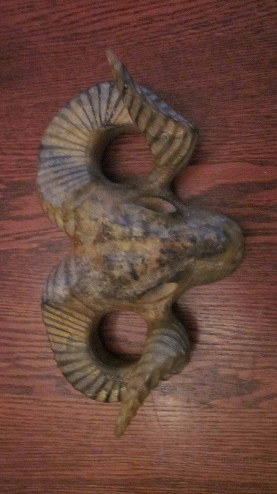 1 Chinese Hard Stone Ram's Head Bust - Etsy