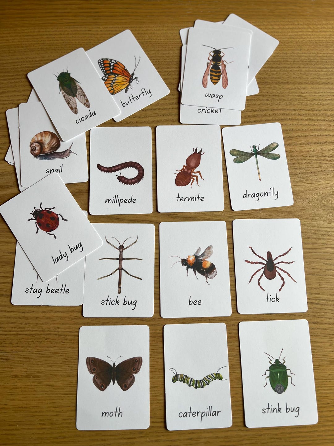 Insect Flashcards, Insect Learning Cards, Instant Download, Toddler ...