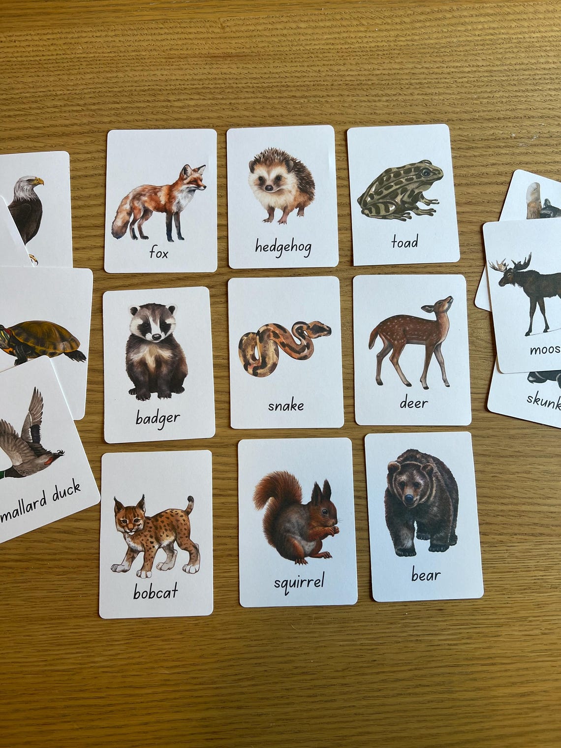 Forest Animal Flashcards, Printable Animal Flashcards, Homeschool ...
