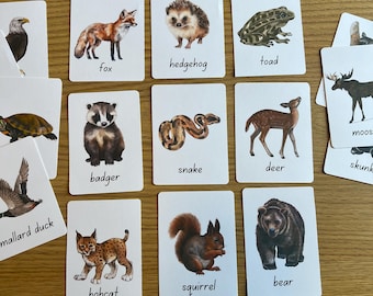 Forest Animal Flashcards, Printable Animal Flashcards, Homeschool ...