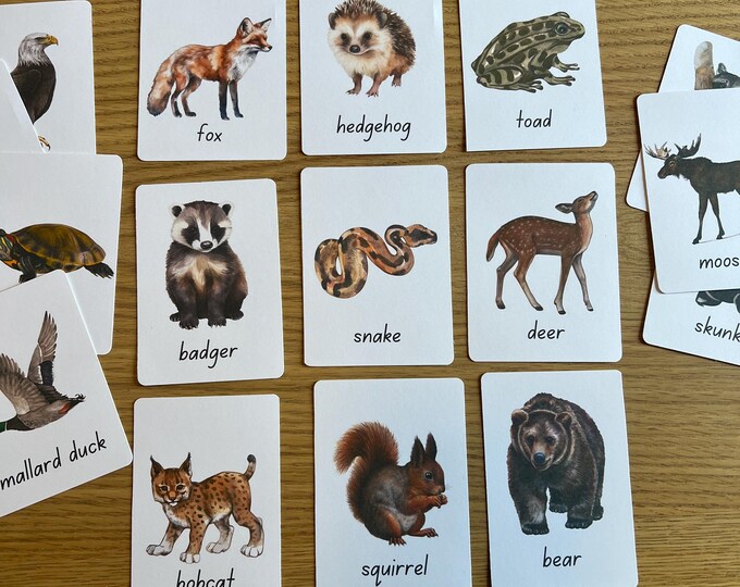 Forest Animal Flashcards, Printable Animal Flashcards, Homeschool ...