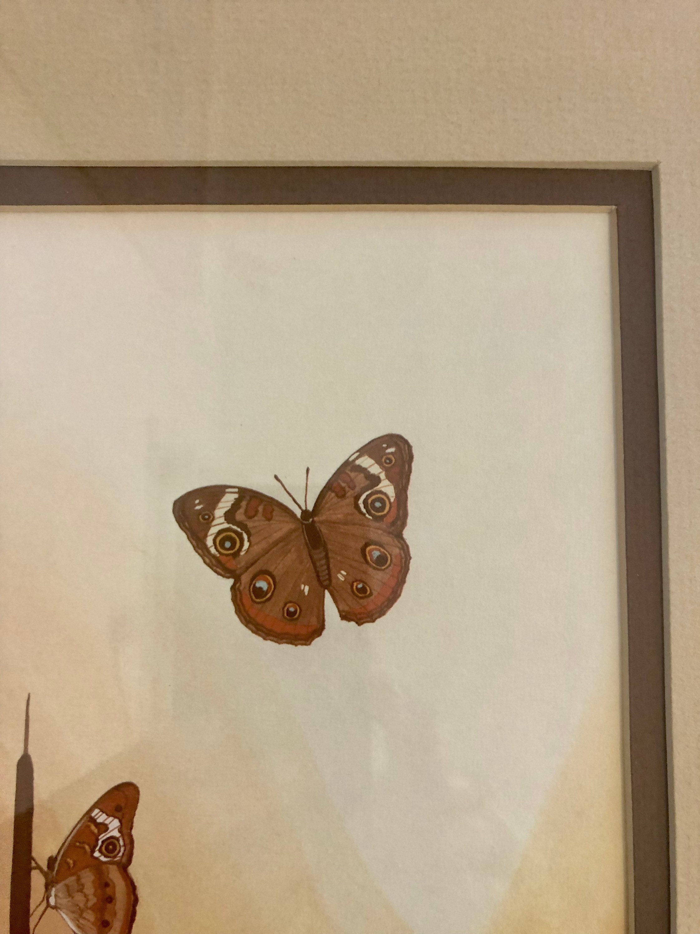 Vintage Cathy J. Bouchard 1970’s Butterfly Art - Etsy