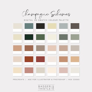 Champagne Schemes | Digital Colour Palette Swatches Download ...