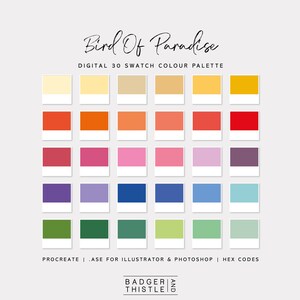 Bird of Paradise | Digital Colour Palette Swatches Download | Procreate ...